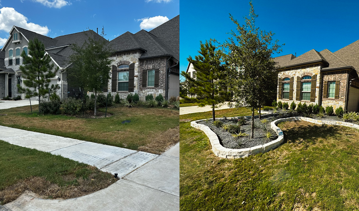 Before & After | Purposed Landscaping