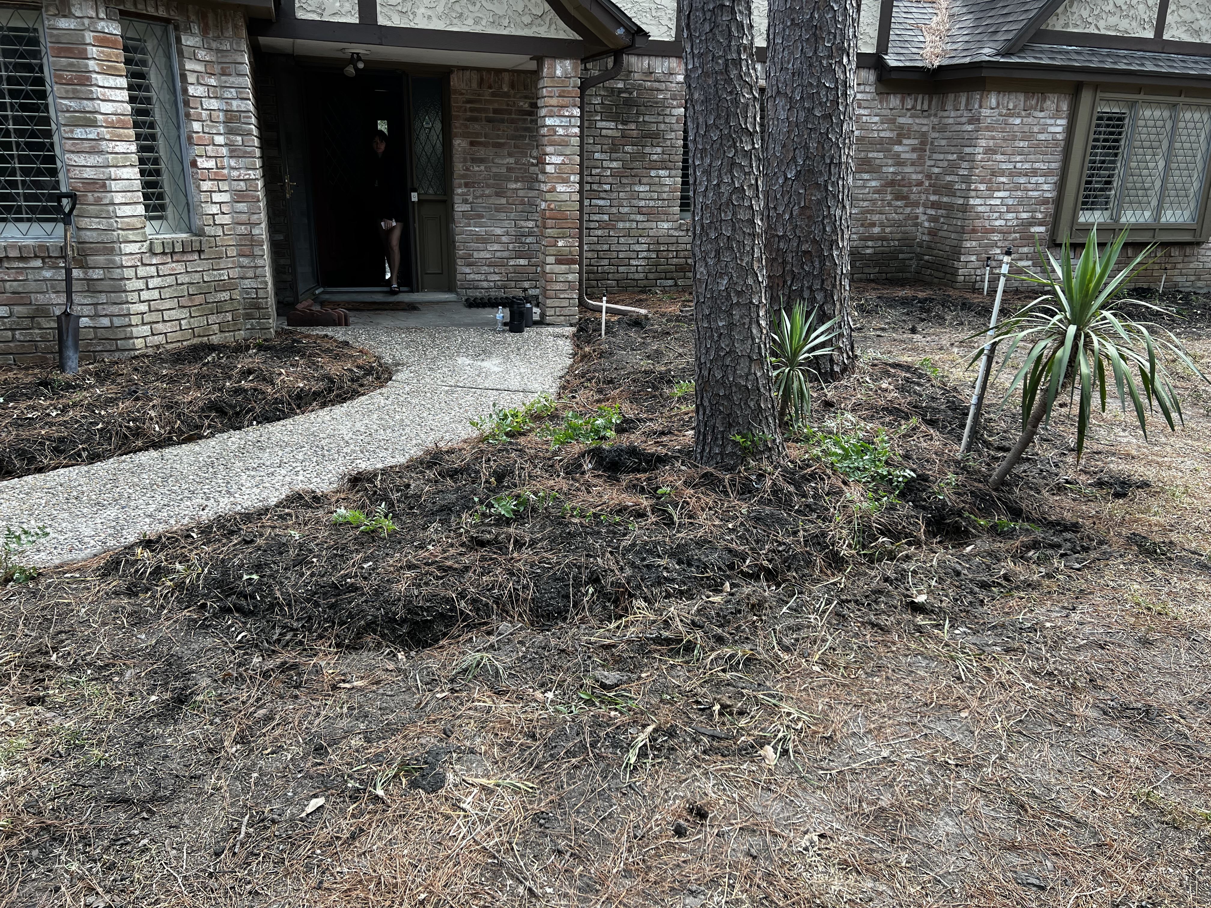 Exterior Landscaping | The Woodlands Landscaping Services