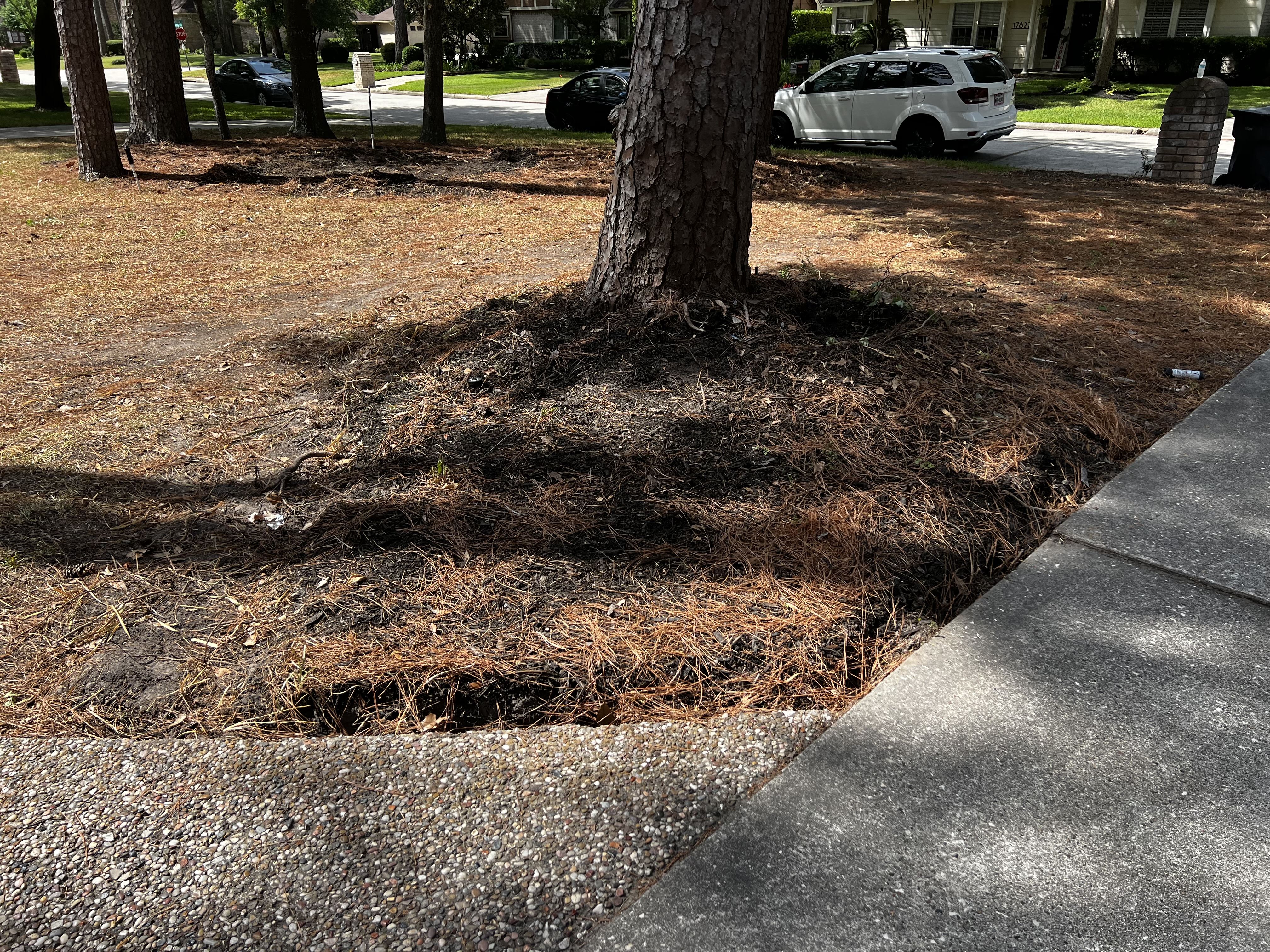 Exterior Landscaping | The Woodlands Landscaping Services