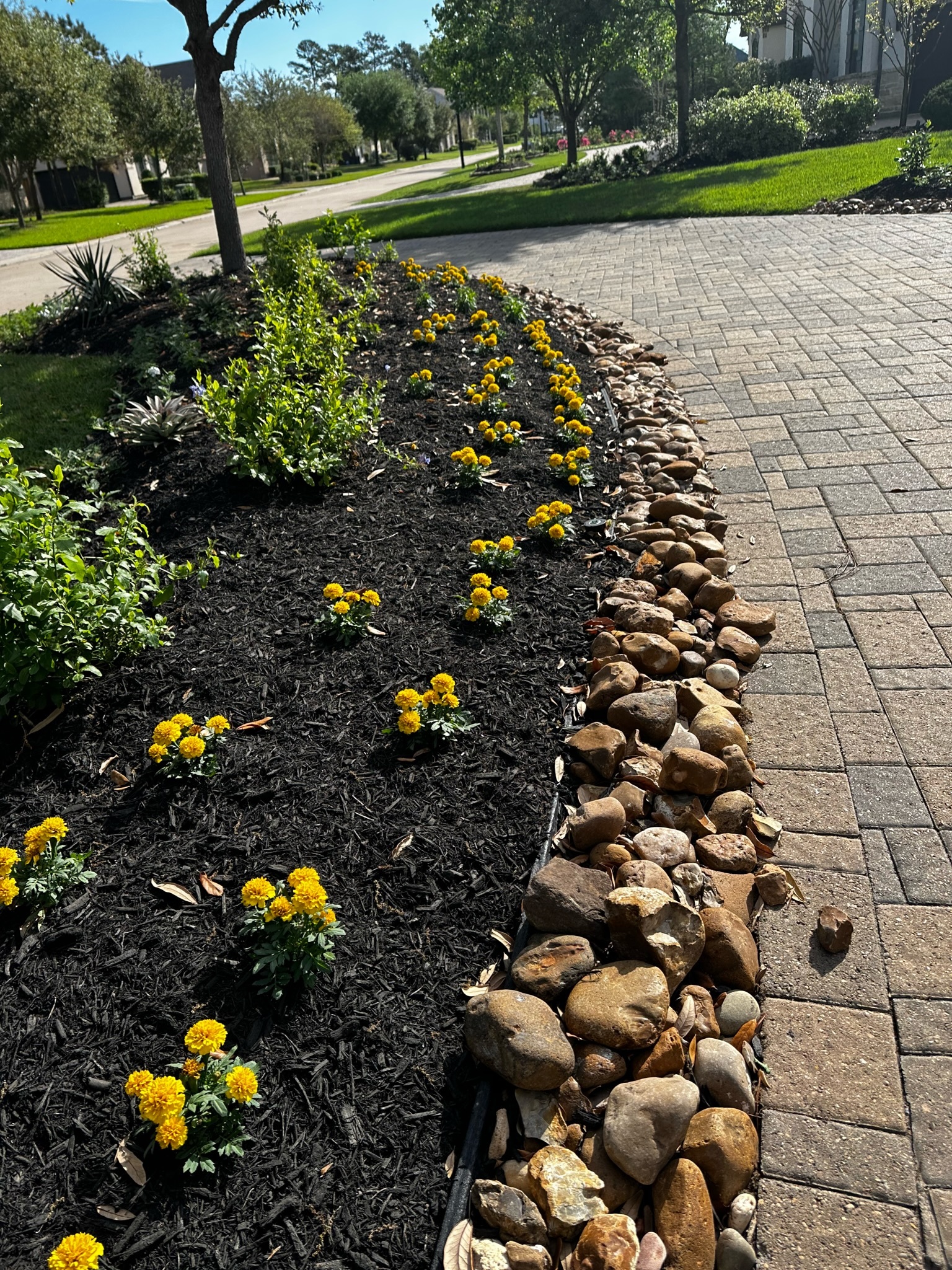 Flower Beds | The Woodlands Landscaping Services