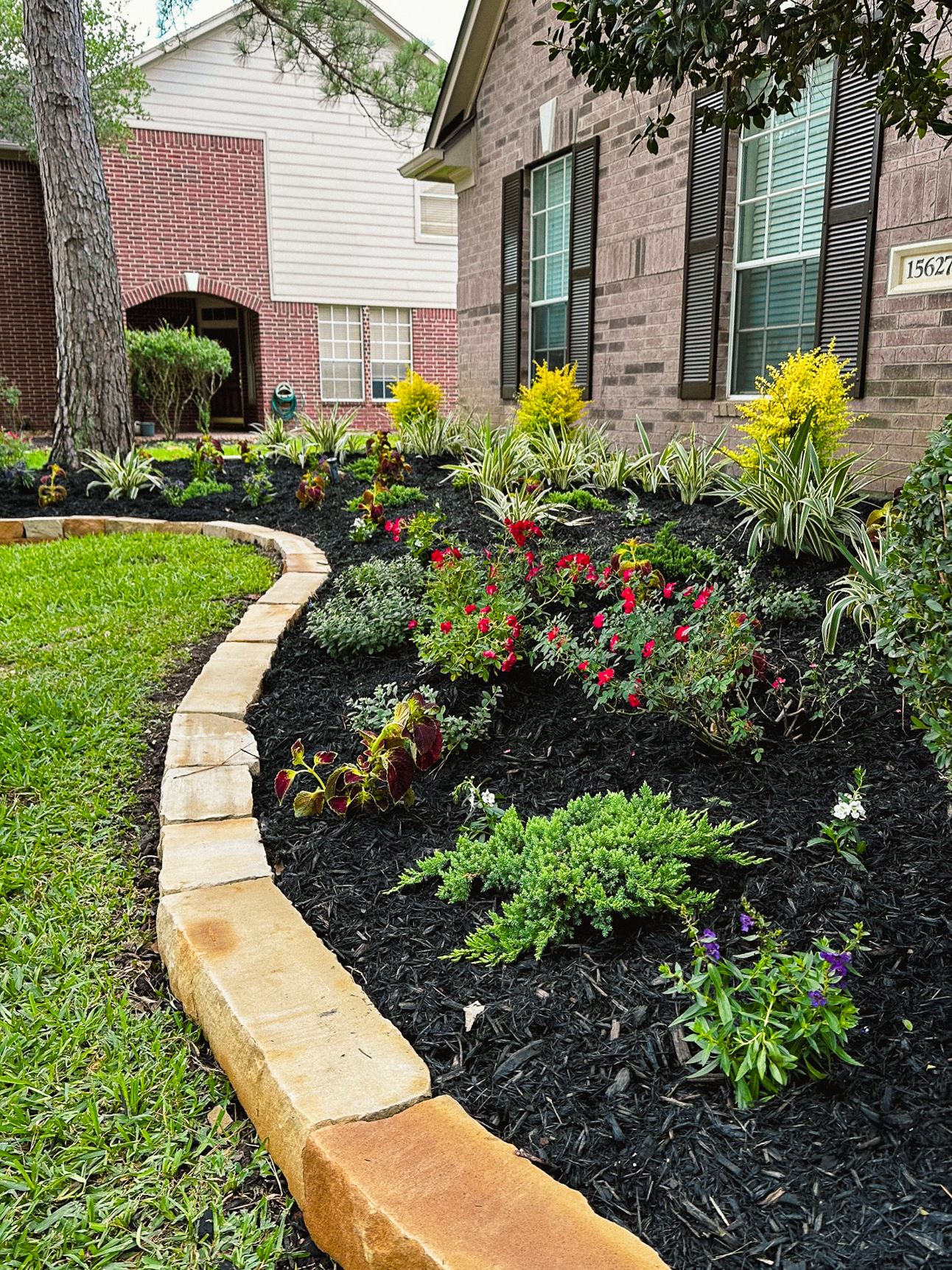 Native Plants | Landscaping The Woodlands, TX
